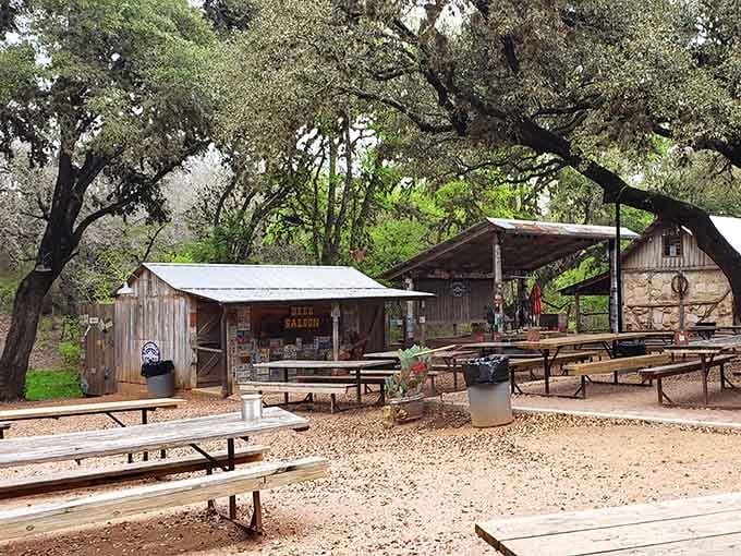 Picnic tables scattered like musical notes across the grounds, each one a front-row seat to Hill Country magic.