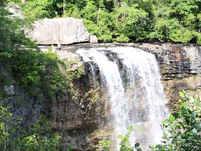 From up here, the waterfall looks like someone left nature's faucet running on the perfect setting.