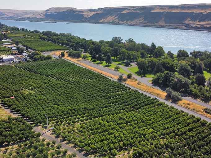 Vineyards stretching toward the Columbia prove this corner of Washington has more surprises than expected.