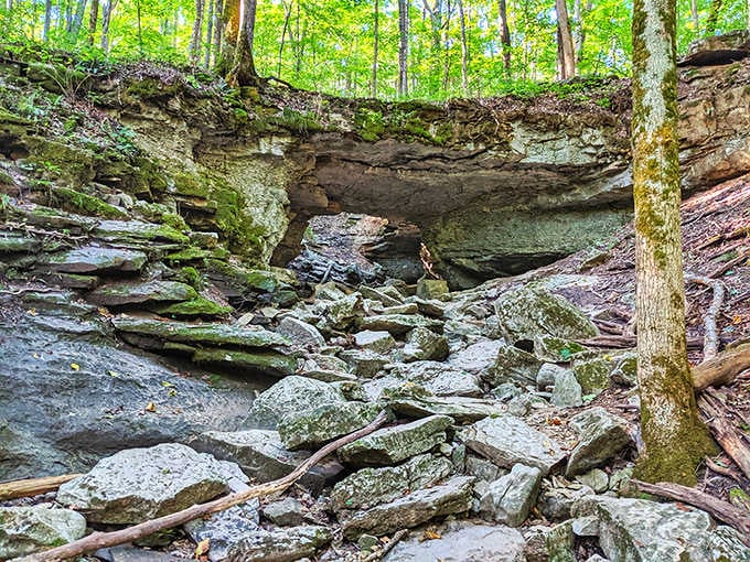 When rocks decide to show off, they really commit to the drama of it all.
