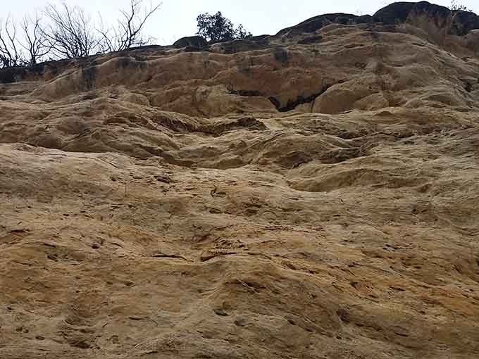 These limestone layers are like nature's history book, except way more interesting than anything you read in school.