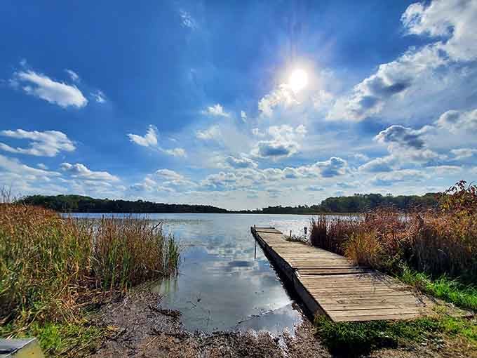 That boardwalk stretching into the marsh is your front-row seat to nature's greatest show, no ticket required.