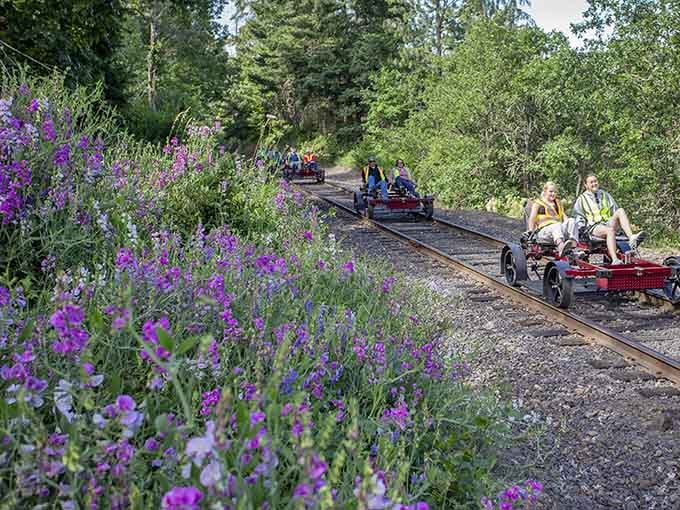 Wildflowers line the tracks like nature's welcoming committee rolled out the purple carpet for you.