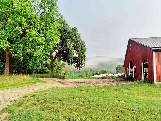 Morning mist and a red barn create a scene so perfectly New England, Norman Rockwell would weep.