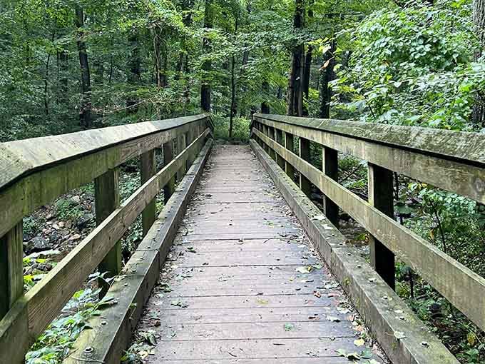This charming wooden bridge marks the calm before the climb, like the opening credits before the main adventure begins.