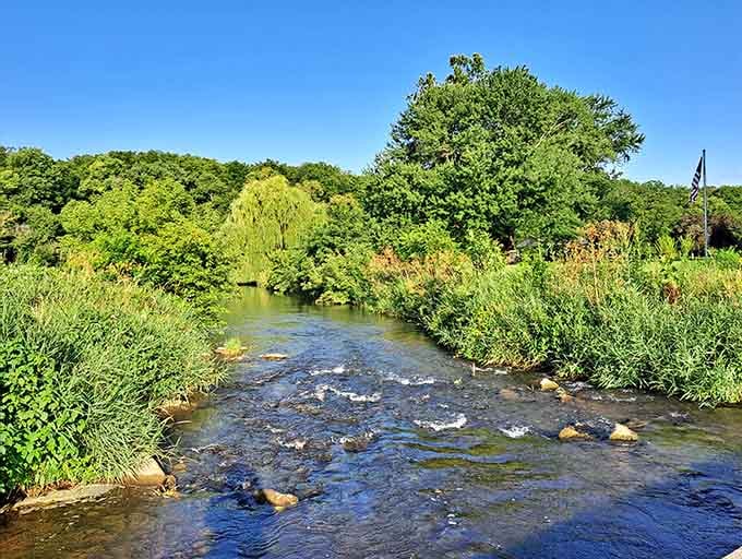 Clear water dancing over smooth stones, proving Illinois has natural beauty that doesn't require a road trip.