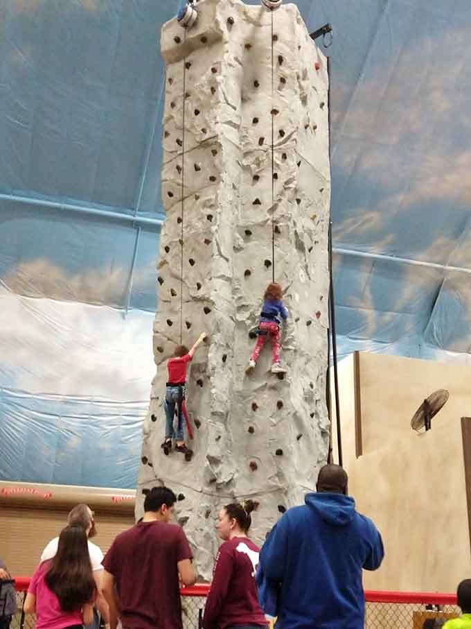 Indoor rock climbing that towers toward the clouds, proving gravity is just a suggestion for the brave.