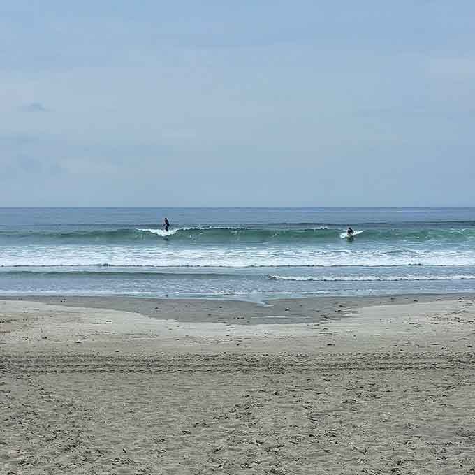 Surfers catching waves like they're auditioning for a beach movie, adding California cool to Massachusetts charm.