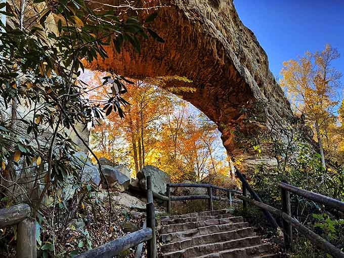 When Mother Nature frames the autumn sky through 78 feet of sandstone, even your phone camera becomes an artist.