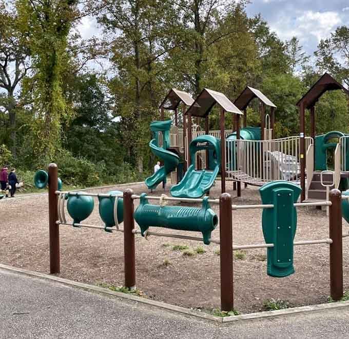 Where kids burn energy before the peaceful walk, proving that smart park design understands actual families.