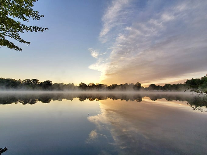 Morning mist rolling across the water transforms an ordinary Tuesday into something worthy of a screensaver.