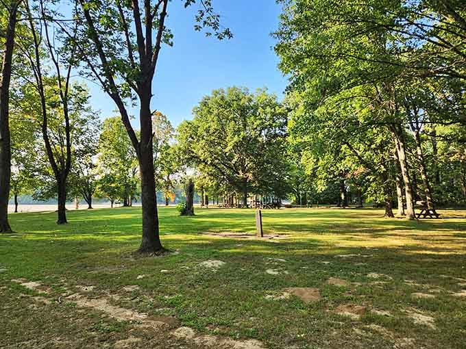 Trees that have witnessed two centuries of utopian dreams still offer the best shade in Indiana.