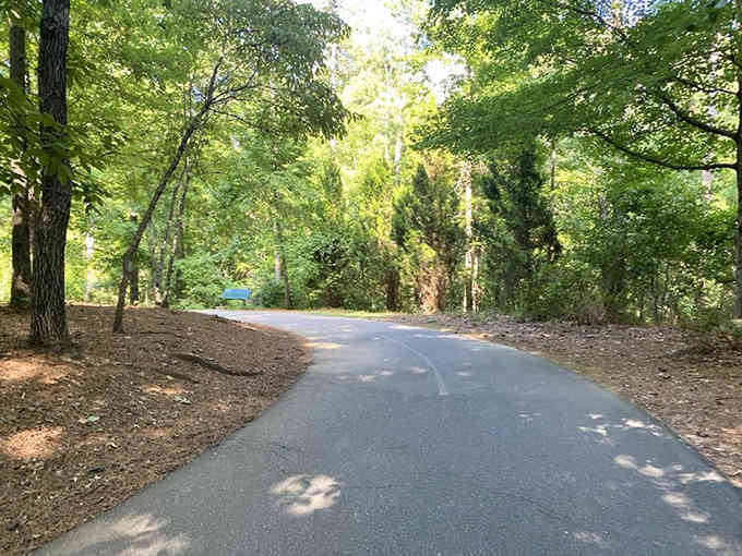 Shaded walking paths wind through the park like nature's own air conditioning system for your overheated pup.