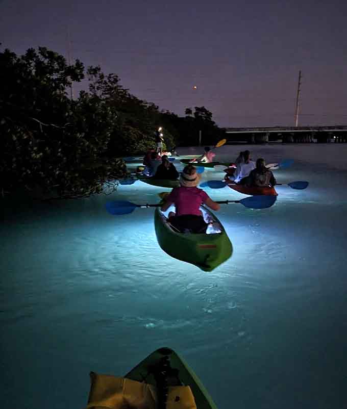 Take A Glow-In-The-Dark Nighttime Kayak Tour For An Unforgettable ...