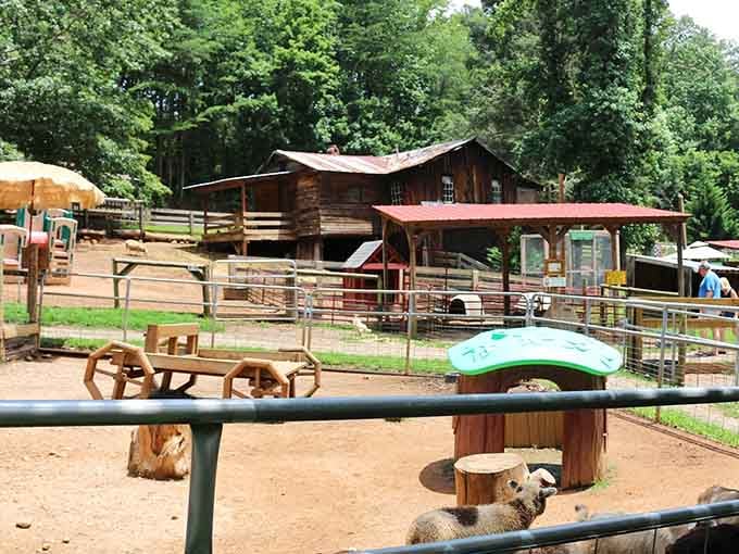 This pastoral paradise proves Georgia's got more than peaches; it's got personality with four legs and fur.