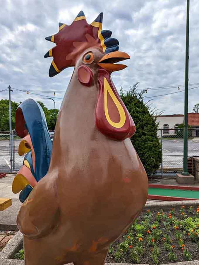 This rooster means business, and by business, we mean judging your putting form with extreme prejudice.