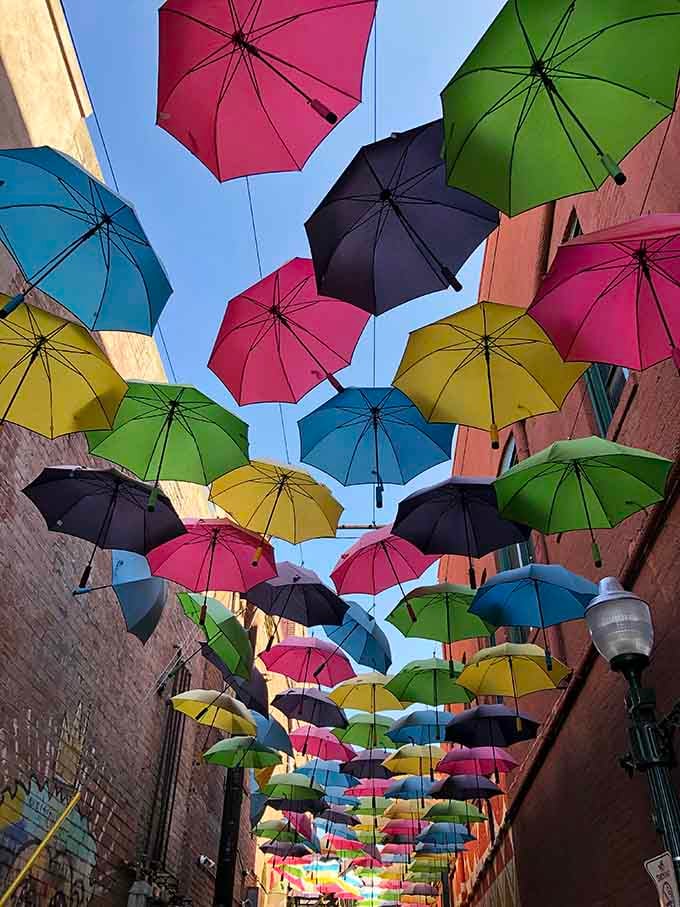 Look up and you'll see what happens when Mary Poppins opens an art gallery in California.
