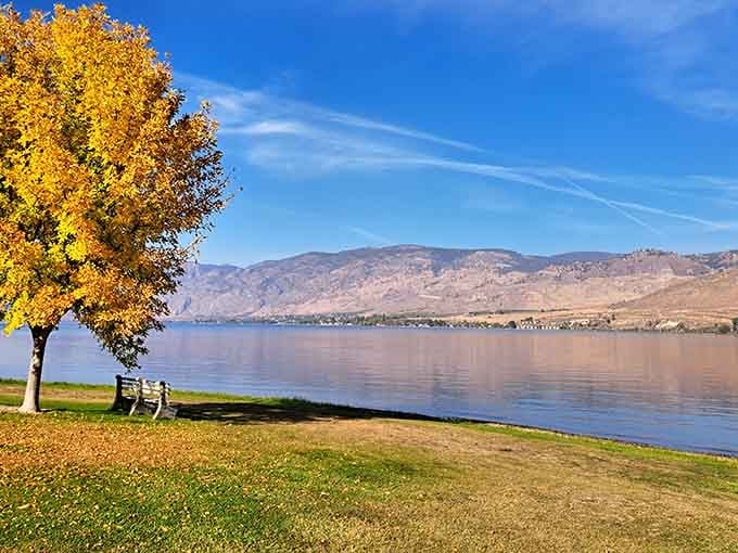 That golden tree and glassy lake create the kind of autumn scene that makes you forgive Washington for all those rainy days.