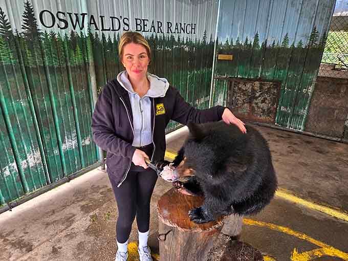 Feeding time at Oswald's brings you closer to these gentle giants than you ever imagined possible or wise.
