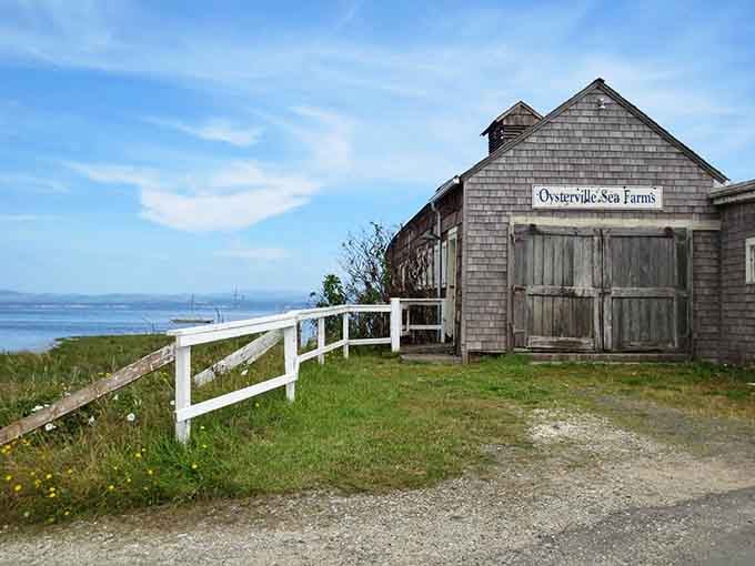 Historic oyster farms still dot the waterfront, keeping century-old traditions deliciously alive.