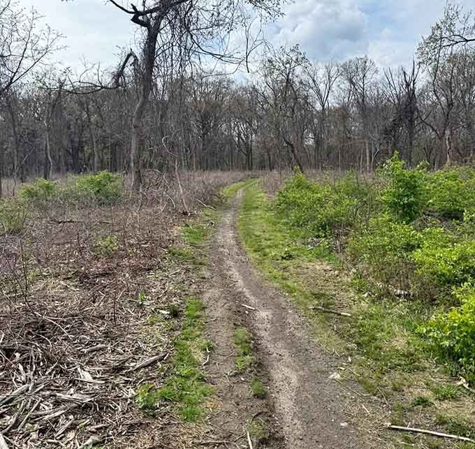 Spring's green carpet rolls out the welcome mat for riders seeking their own personal escape route.