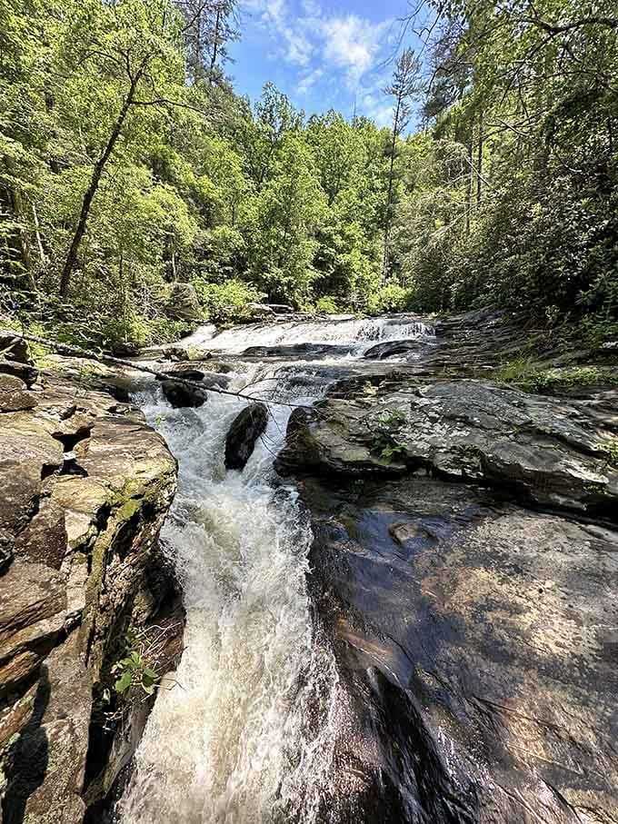 When the creek rushes this beautifully, you understand why people hike miles for it.