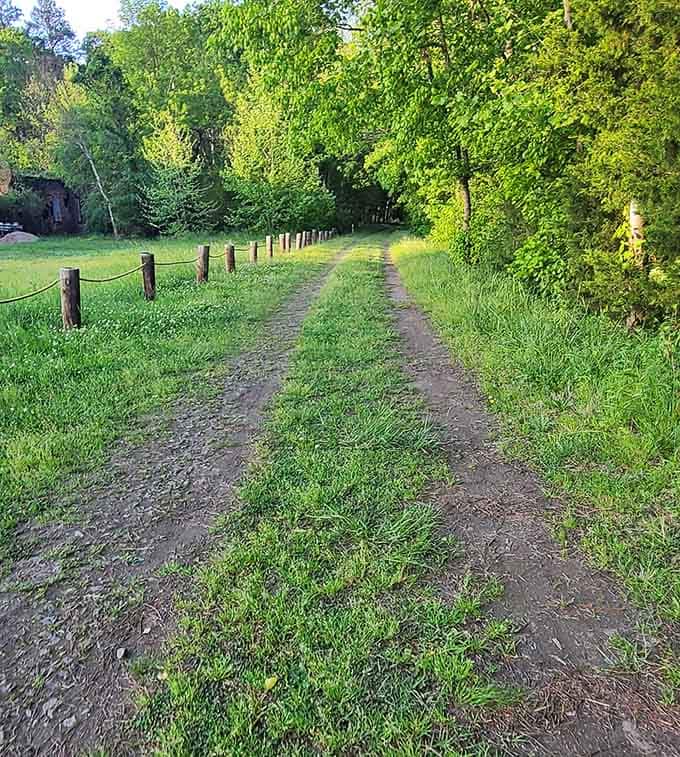 The old railroad corridor stretches ahead, inviting you to follow where trains once rumbled through rural South Carolina.