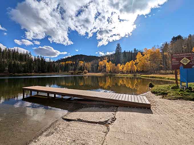 The dock where time slows down and your only responsibility is deciding whether to fish or just stare.