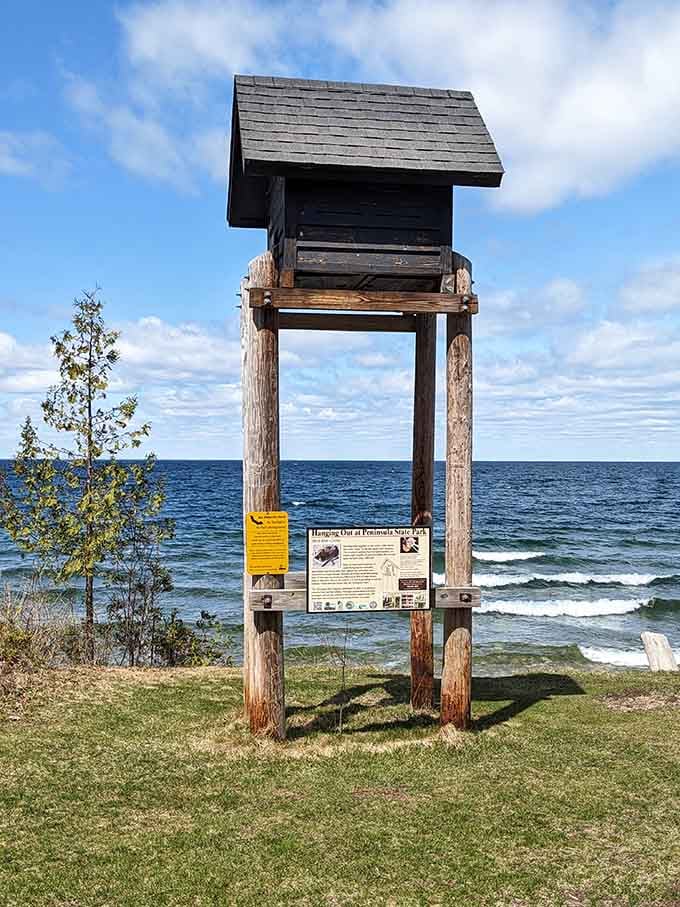This bat house proves even flying mammals deserve waterfront real estate with million-dollar views.