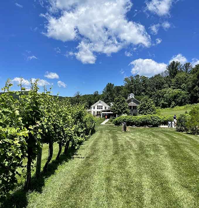 These vines produce wines that'll make you forget California exists for a minute.