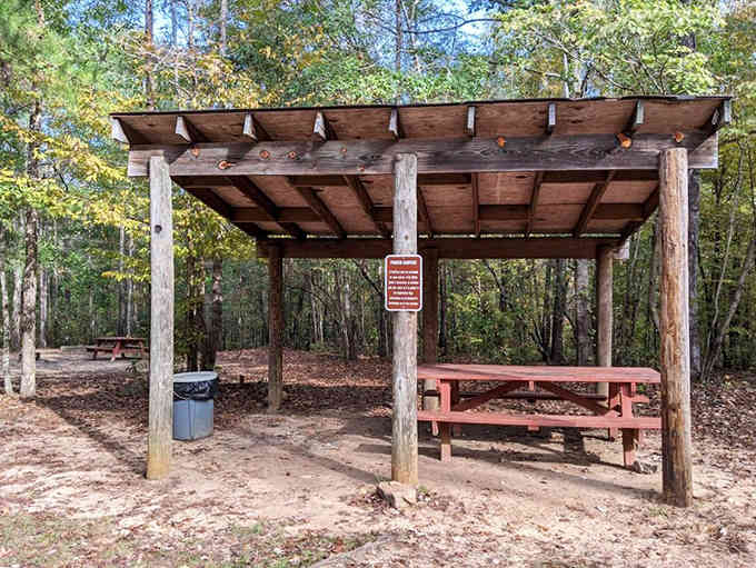 This shaded picnic shelter offers the perfect spot to refuel while contemplating millions of years of geological history.