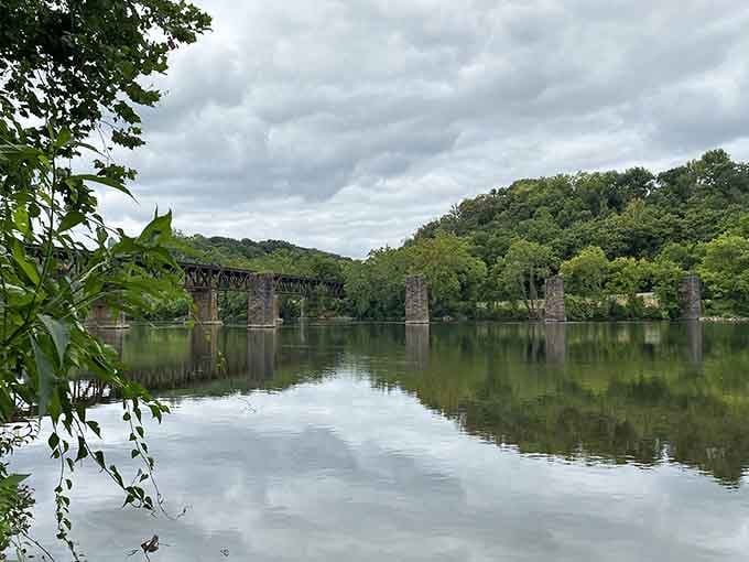 Bisset Park's river views cost exactly zero dollars, making it the best entertainment value in Virginia.