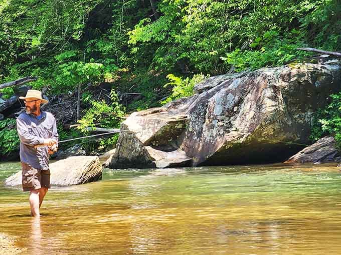 Fly fishing in paradise, where the biggest catch might just be the peace and quiet you've been missing.