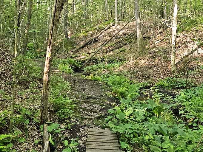 Even the wooden walkway knows where it's going, which is more than most of us can say on Monday mornings.