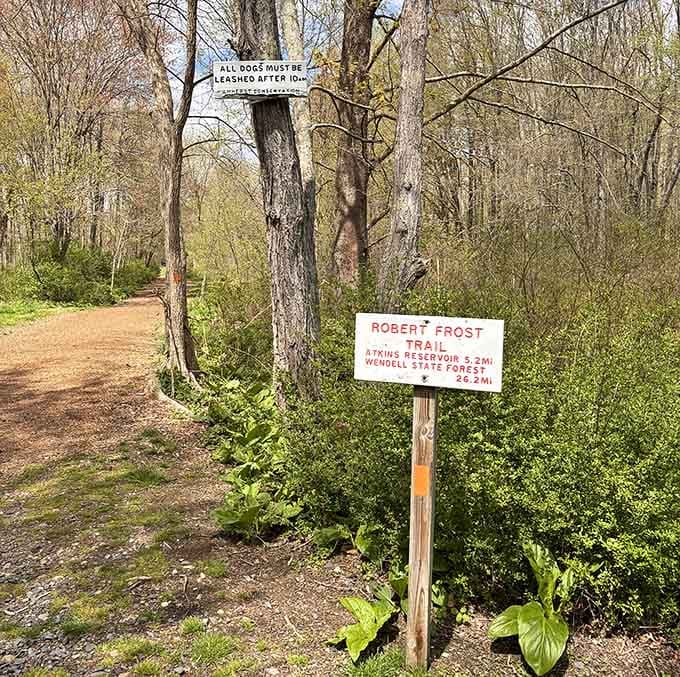 When a trail sign promises adventure through state forests, you know you're in for something special.