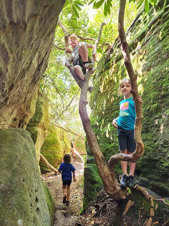 Kids transform into fearless explorers here, climbing and discovering like it's their own personal adventure movie come to life.