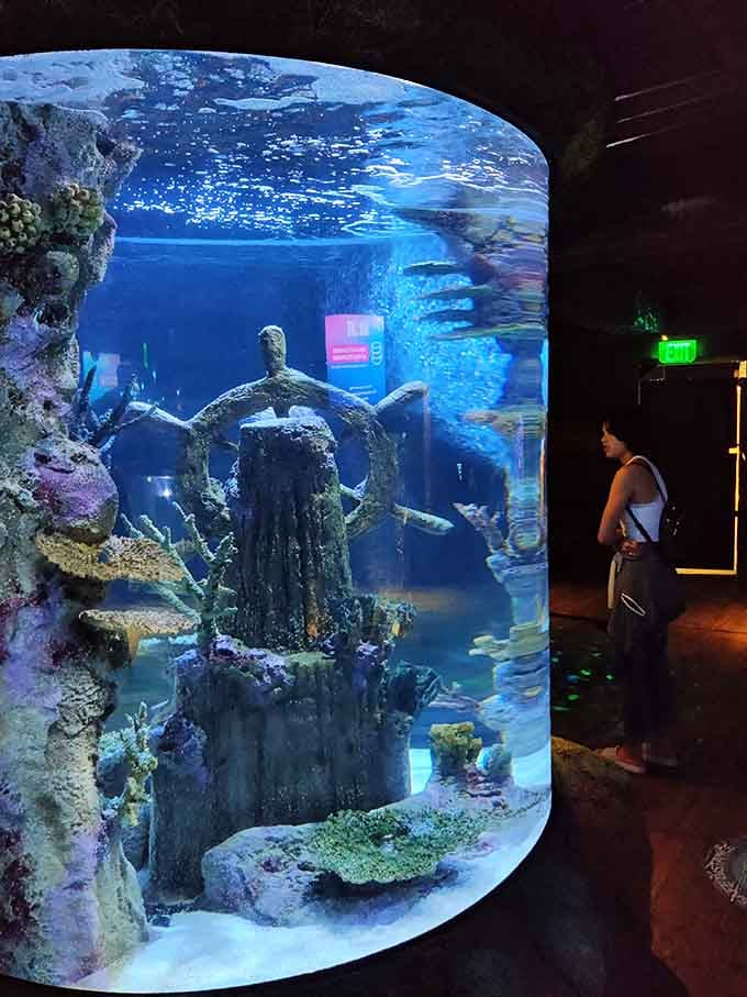 This cylindrical tank proves that sometimes the best view in the house is straight up, watching sea life in 360 degrees.