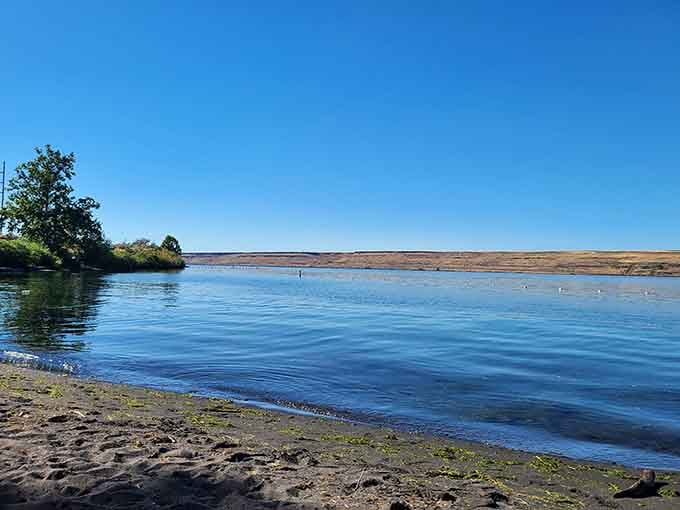 That sandy shoreline stretching along calm waters is exactly what your summer vacation dreams are made of, honestly.