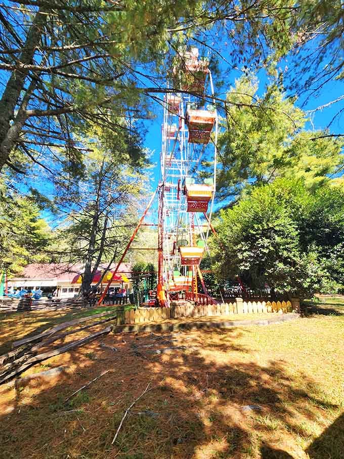 Santa's Land's Ferris wheel offers mountain views that rival any winter wonderland postcard you've ever received.