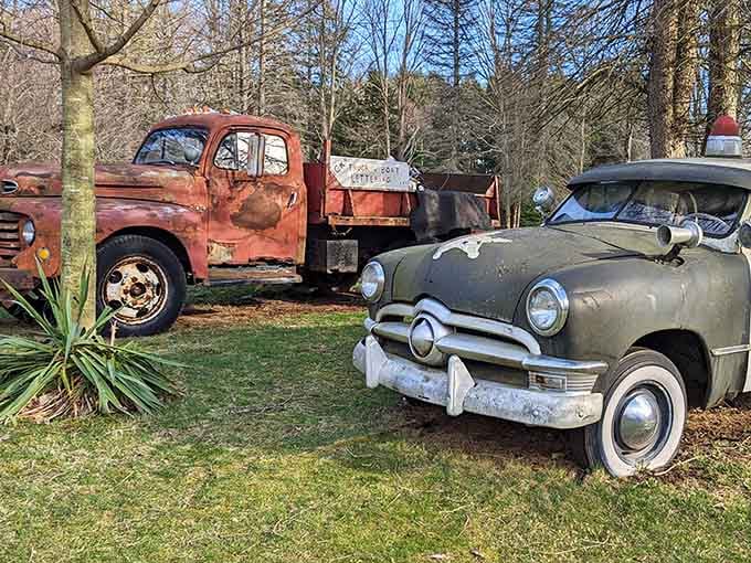These vintage beauties found their retirement home among the sculptures, still looking dignified despite the rust.