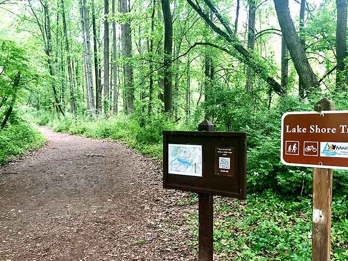 The Lake Shore Trail proves that getting lost in nature is sometimes the best direction to take.