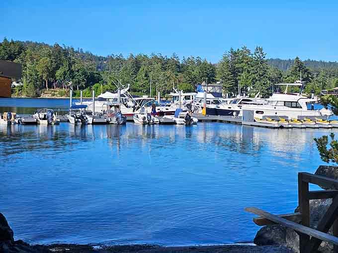 The marina where boats gather like old friends catching up after too long apart.