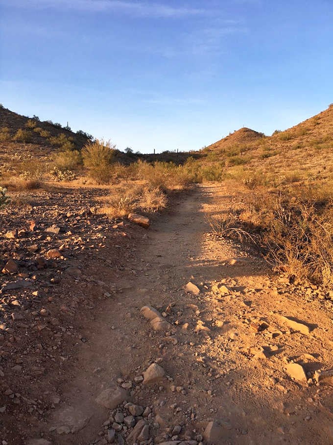 The trail beckons like an open invitation, promising discoveries around every sun-baked bend in this timeless landscape.