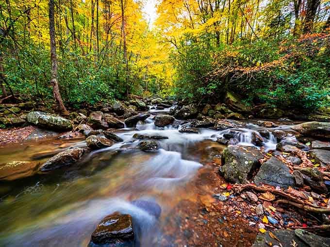 Autumn leaves meet rushing water in a scene so perfect it almost seems like showing off.