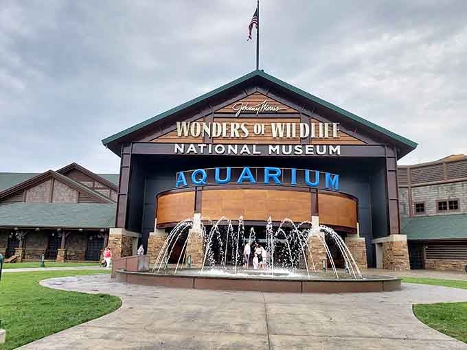 Johnny Morris built Wonders of Wildlife to remind us all that nature deserves a standing ovation.