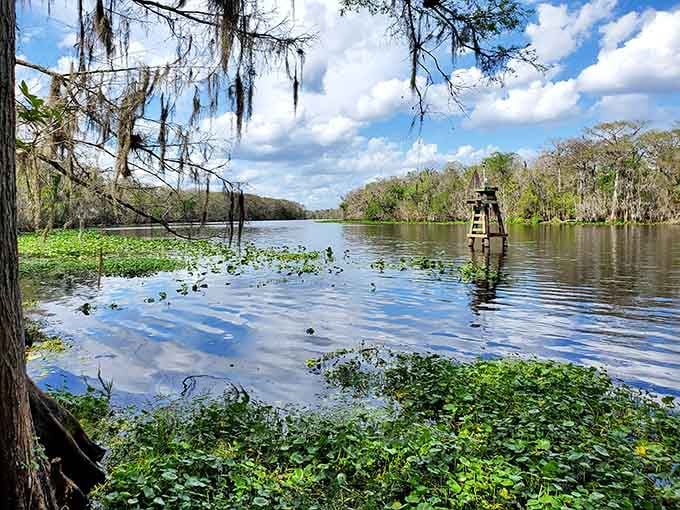 The St. Johns River flows peacefully past the ghost town, still keeping secrets from its busier days.