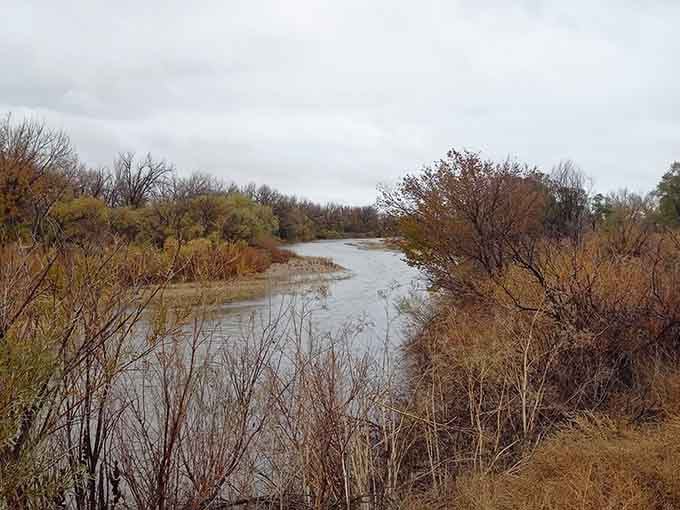 The South Platte River winds through town, offering free therapy sessions disguised as peaceful riverside walks.