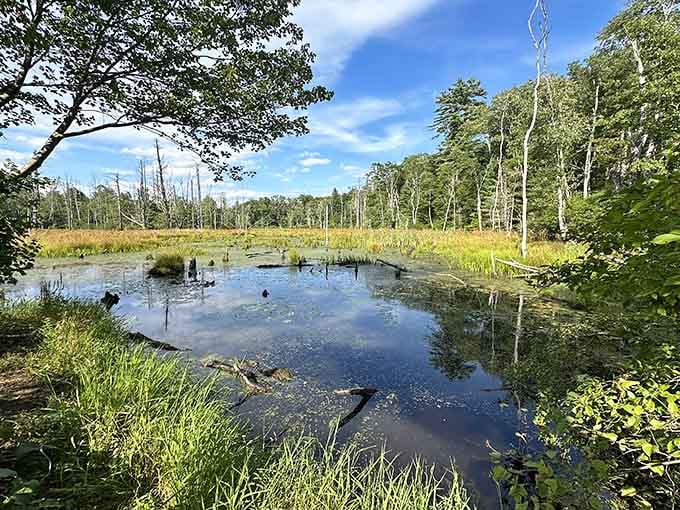 Nature's mirror reflects the kind of tranquility that makes you forget your phone exists.