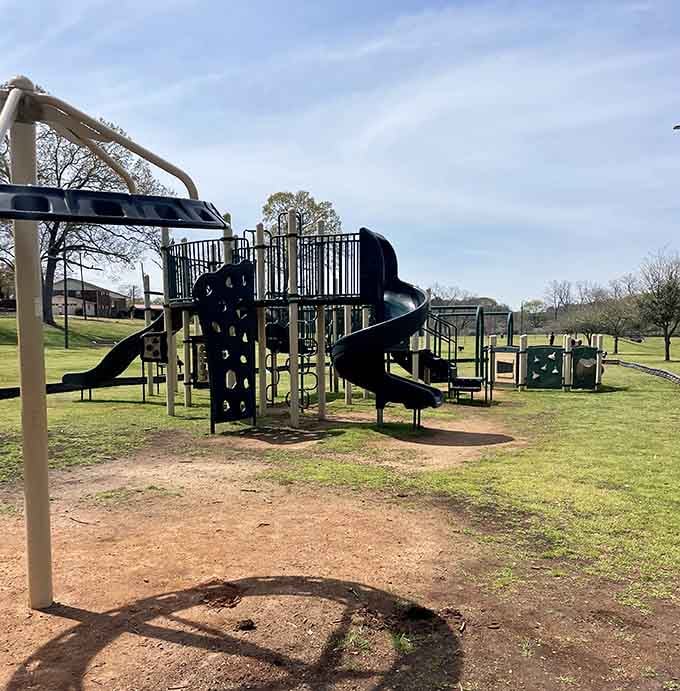 Community playgrounds where kids can actually be kids without requiring a membership fee or reservation.