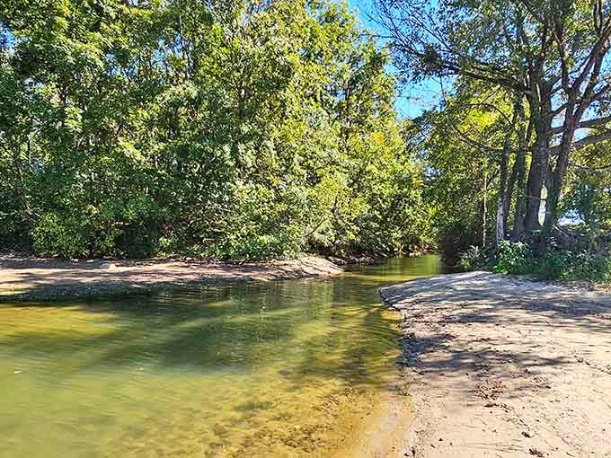 Where the river meets the shore, nature creates its own little paradise worth discovering.